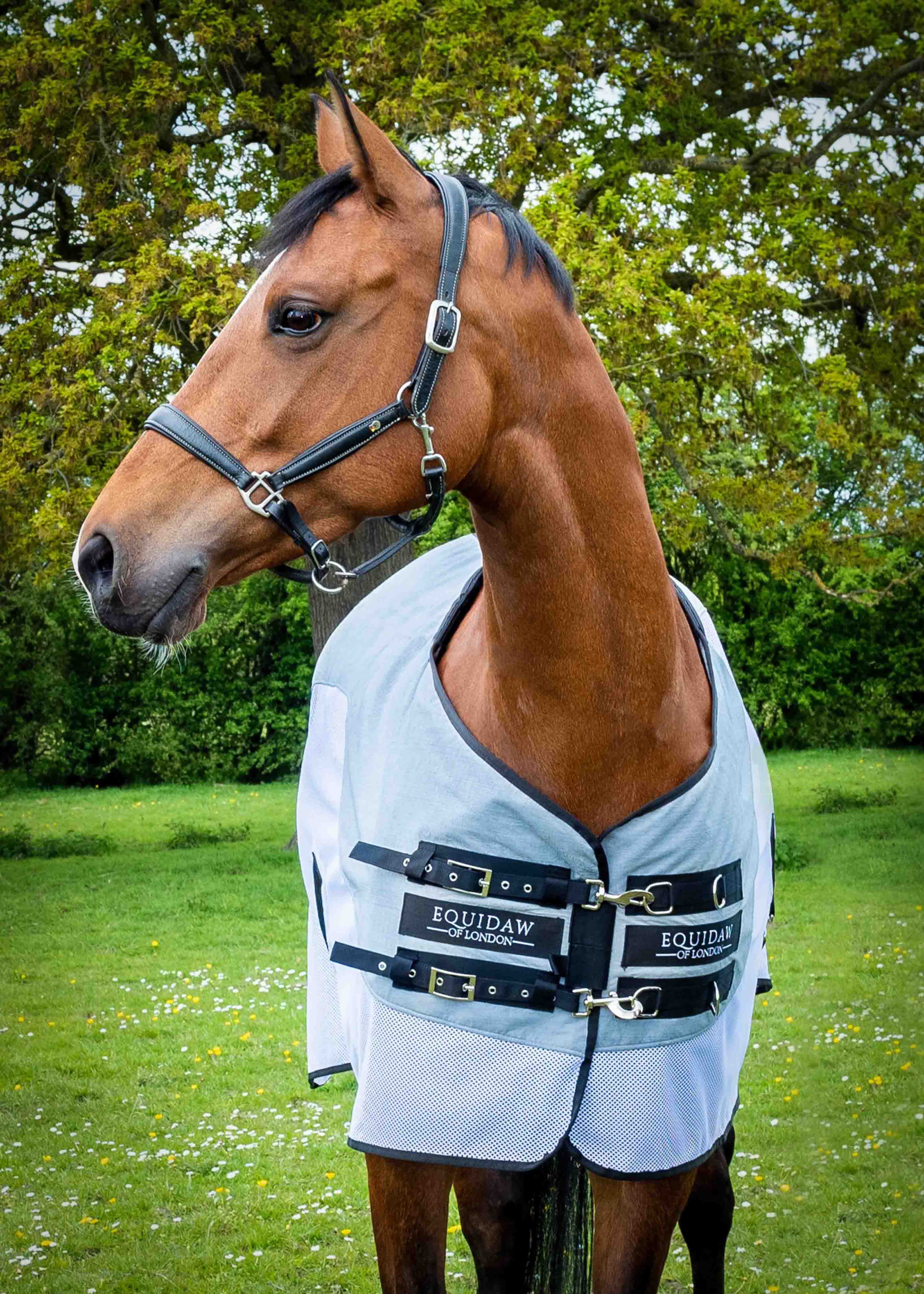 Luxury Horse Cooling Rug – Equidaw of London
